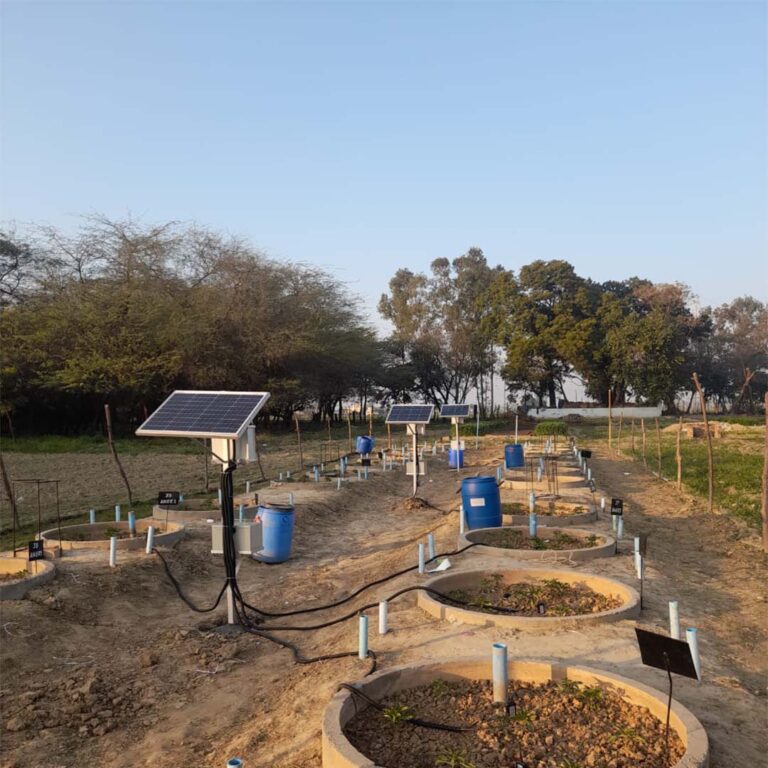 Soil Health Monitoring | Adr Tech India